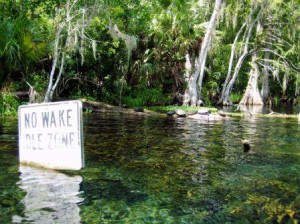 Splendor of Silver River State Park – Solo Travel Girl's Adventures