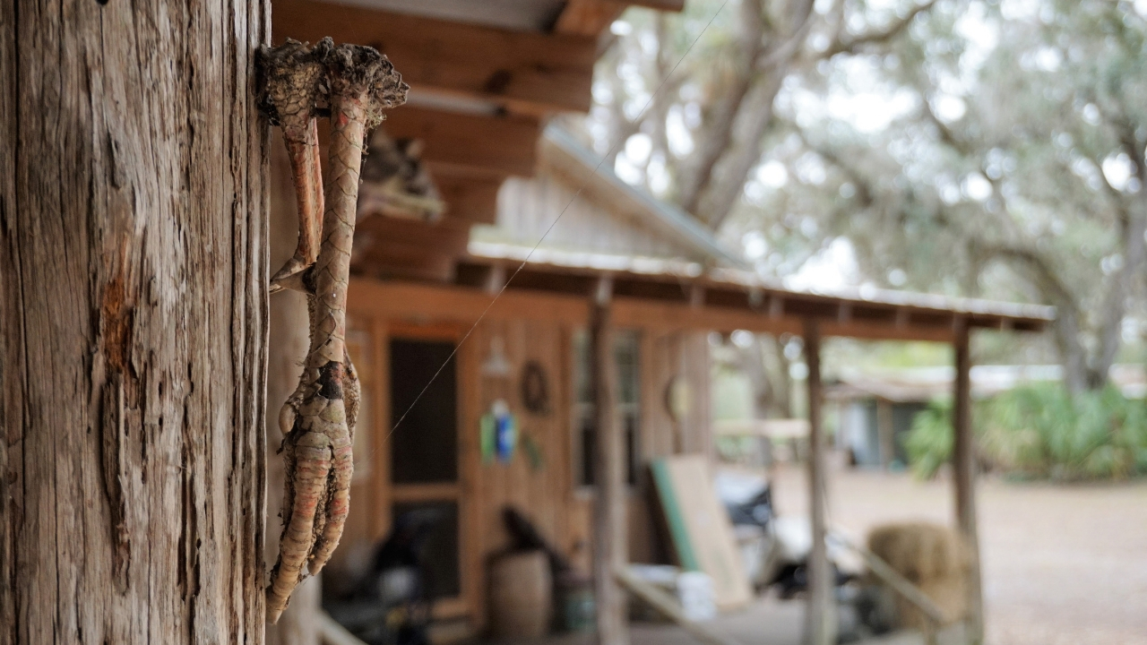 FOWA: A Place for Florida Outdoor Communicators - Solo Travel Girl