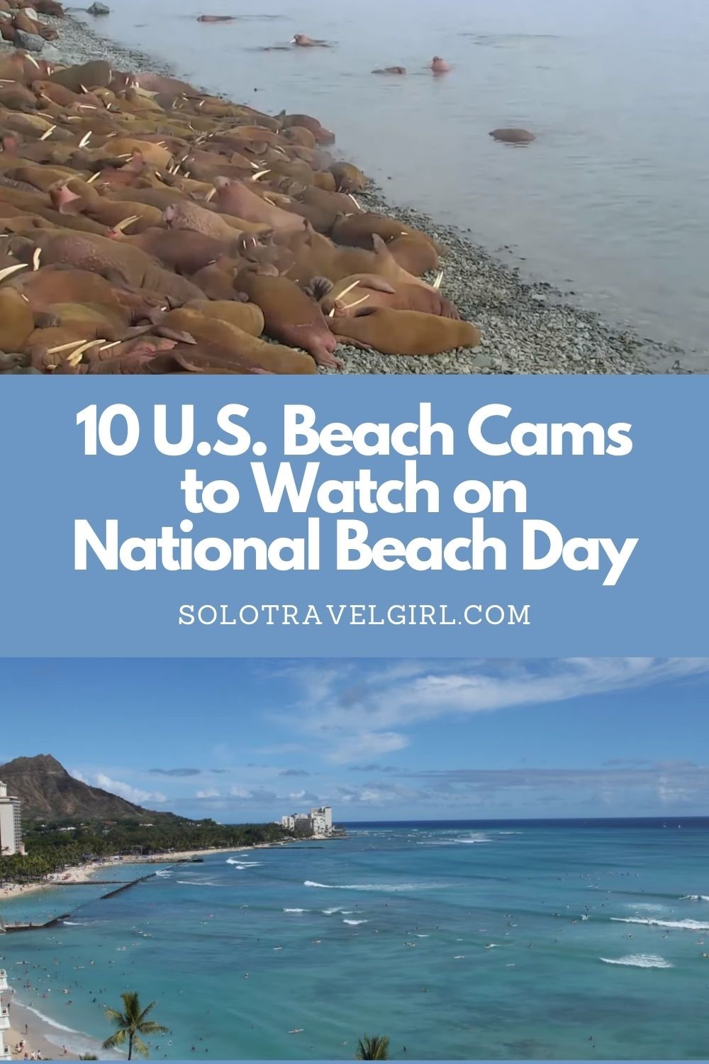 10 U.S. Beach Cams to Watch on National Beach Day, Aug. 30 - Solo ...