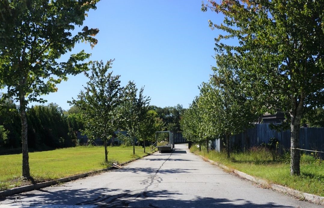 Things to See in Georgia: Senoia, Where The Walking Dead Films – Solo ...