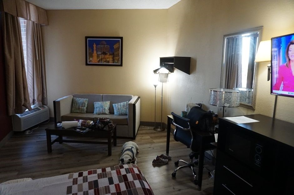 The Candyman’s Gold Ticket Treasure Hunt Introduced me to These Fun and ...