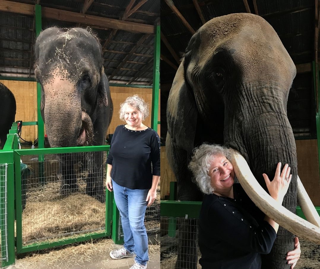 Spa Day at Myakka Elephant Ranch in Florida - Solo Travel Girl
