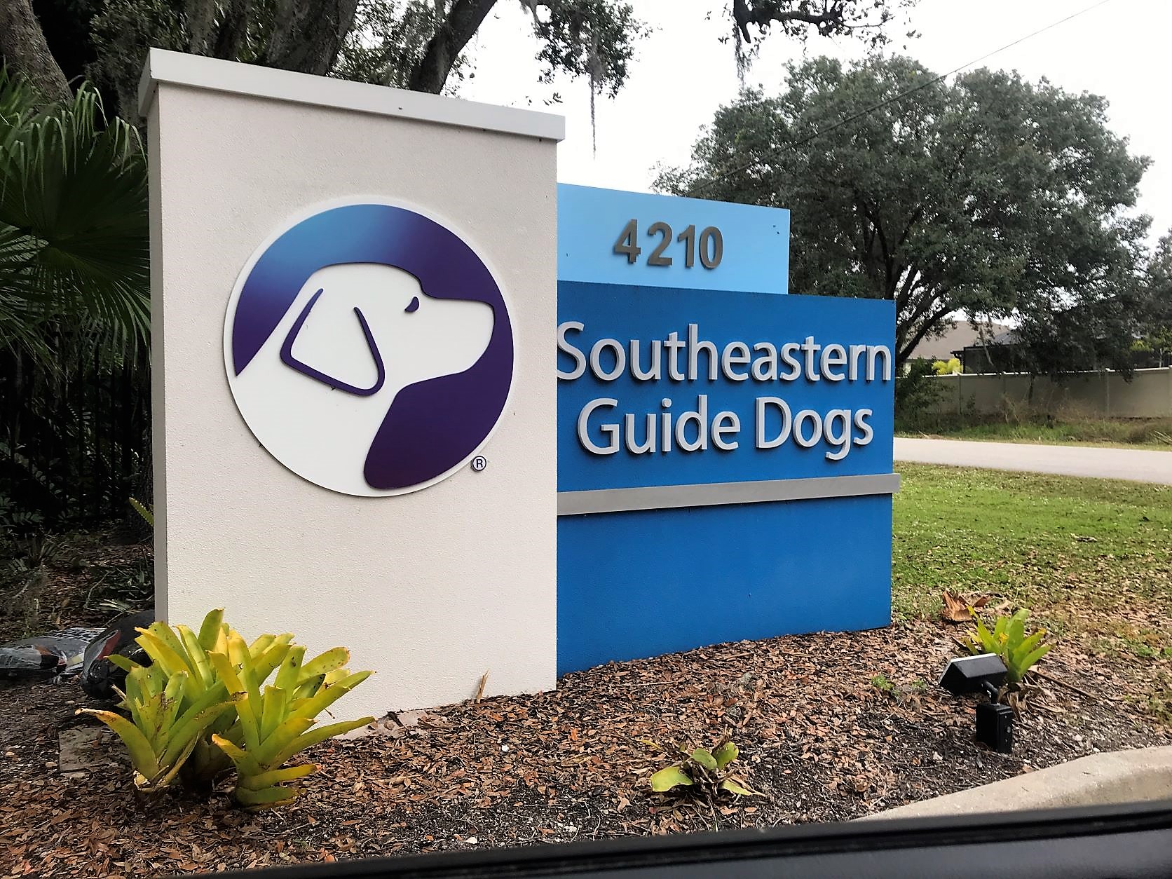 Things to do in Palmetto: See Where Four-Legged Heroes Train at ...