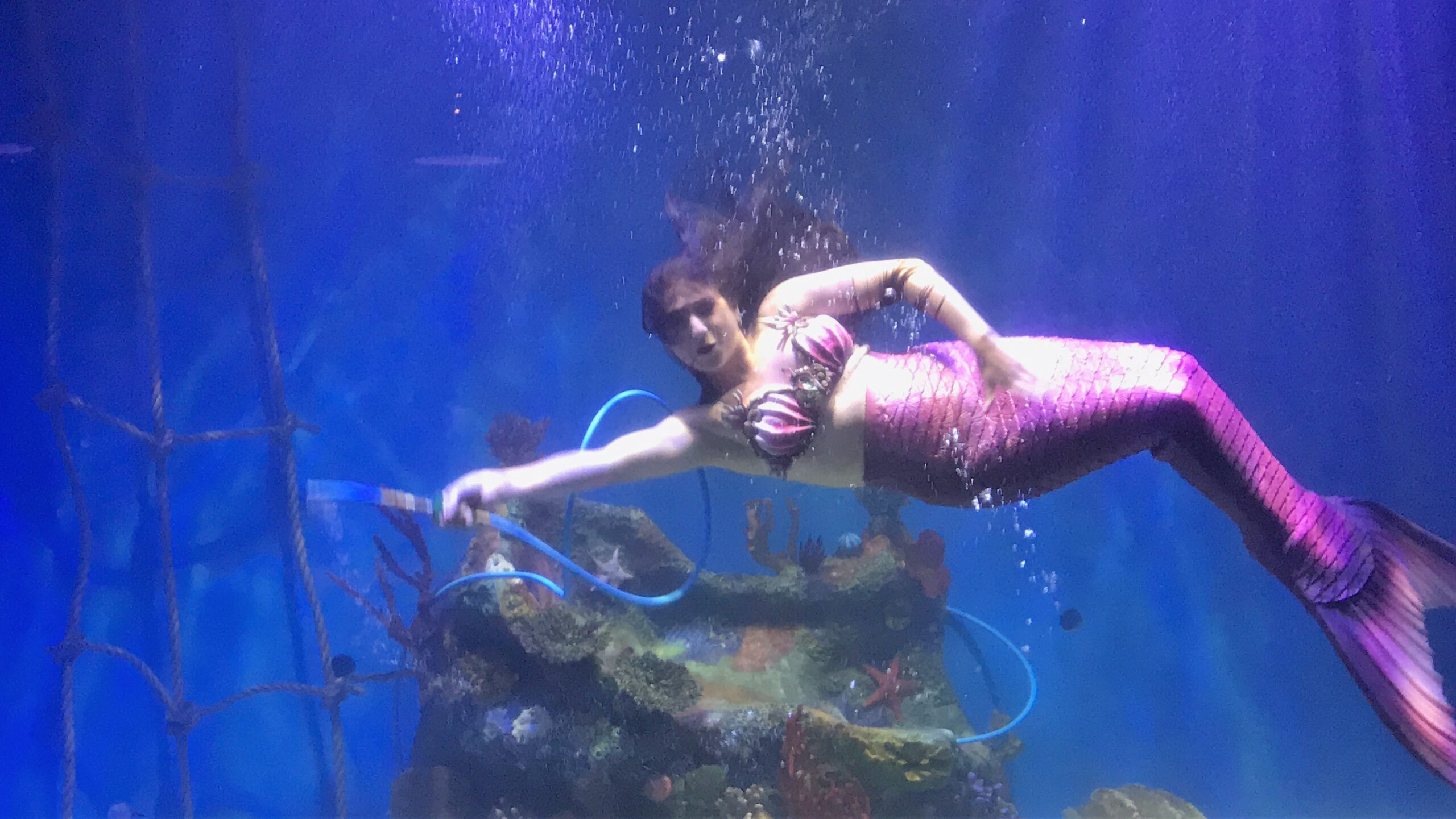When Your Crystal River Kayaking Trip is Rained Out, Head to the Mertailor’s Mermaid Aquarium ...